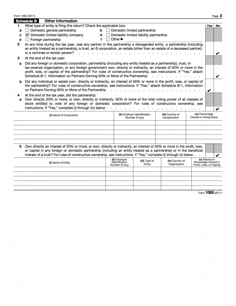 How to fill out an LLC 1065 IRS Tax form